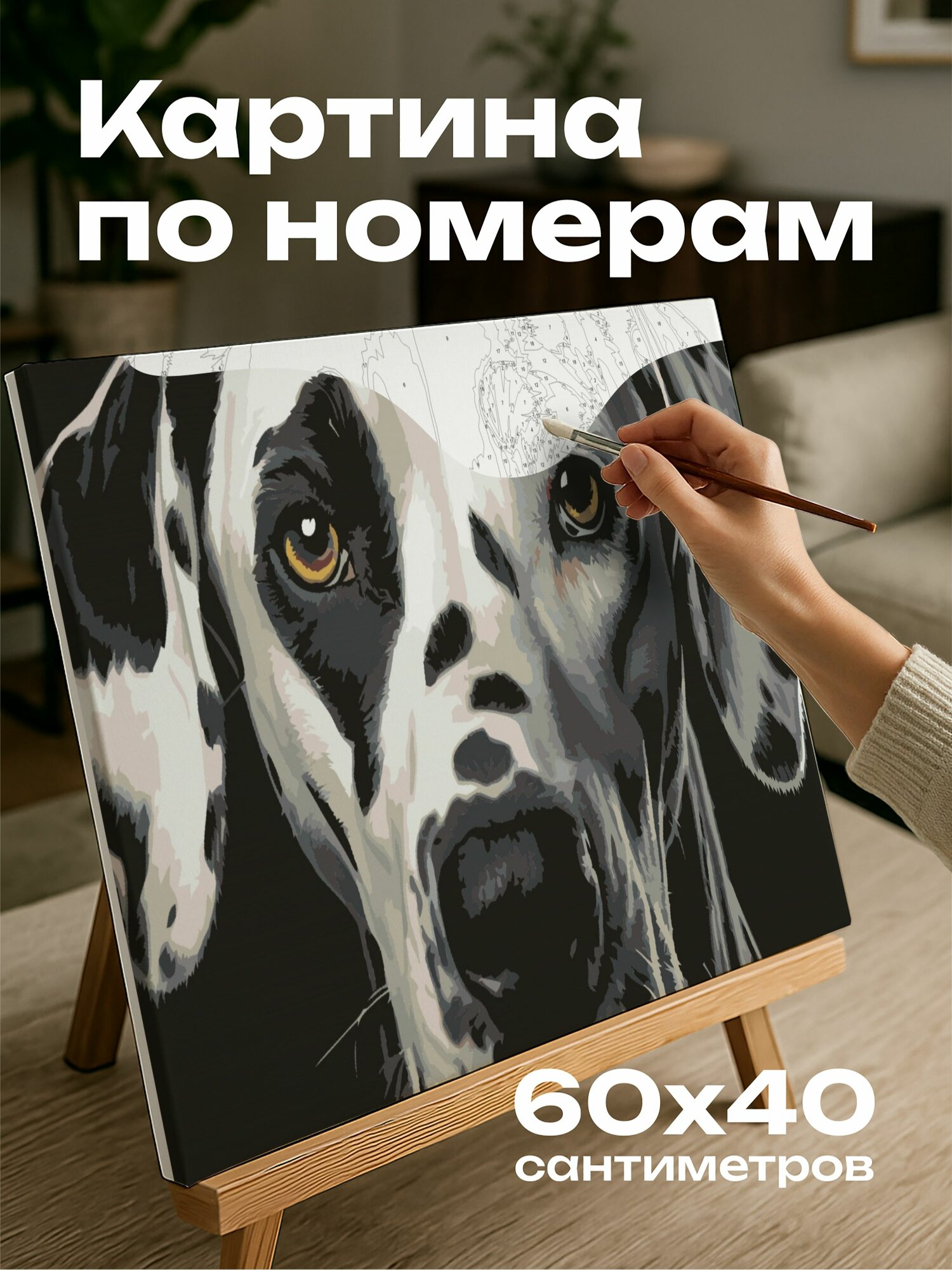 Картина по номерам 60x40 см, Далматинец, фотография, профессиональная фотосесс, естественный свет, белая шерсть