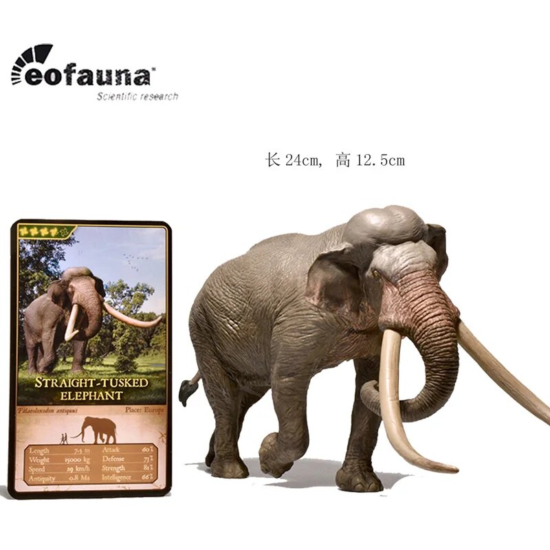 Eofauna Straight-Tusked Elephant, 24cm, 12.5cm, Color: Pink