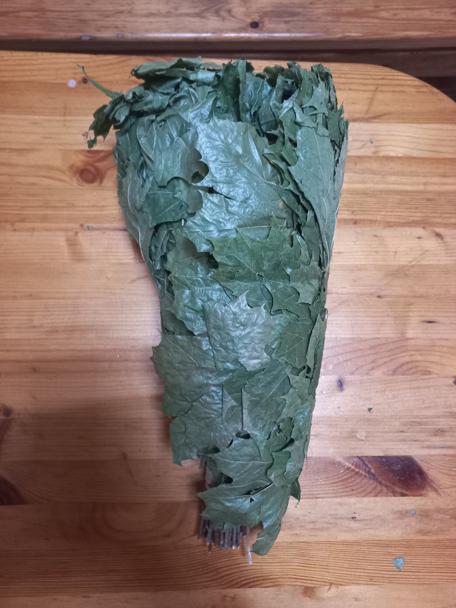 Профессиональные. Эксклюзивные Веники для бани. Кленовые. Набор из 2 шт. Сбор 2025 года.