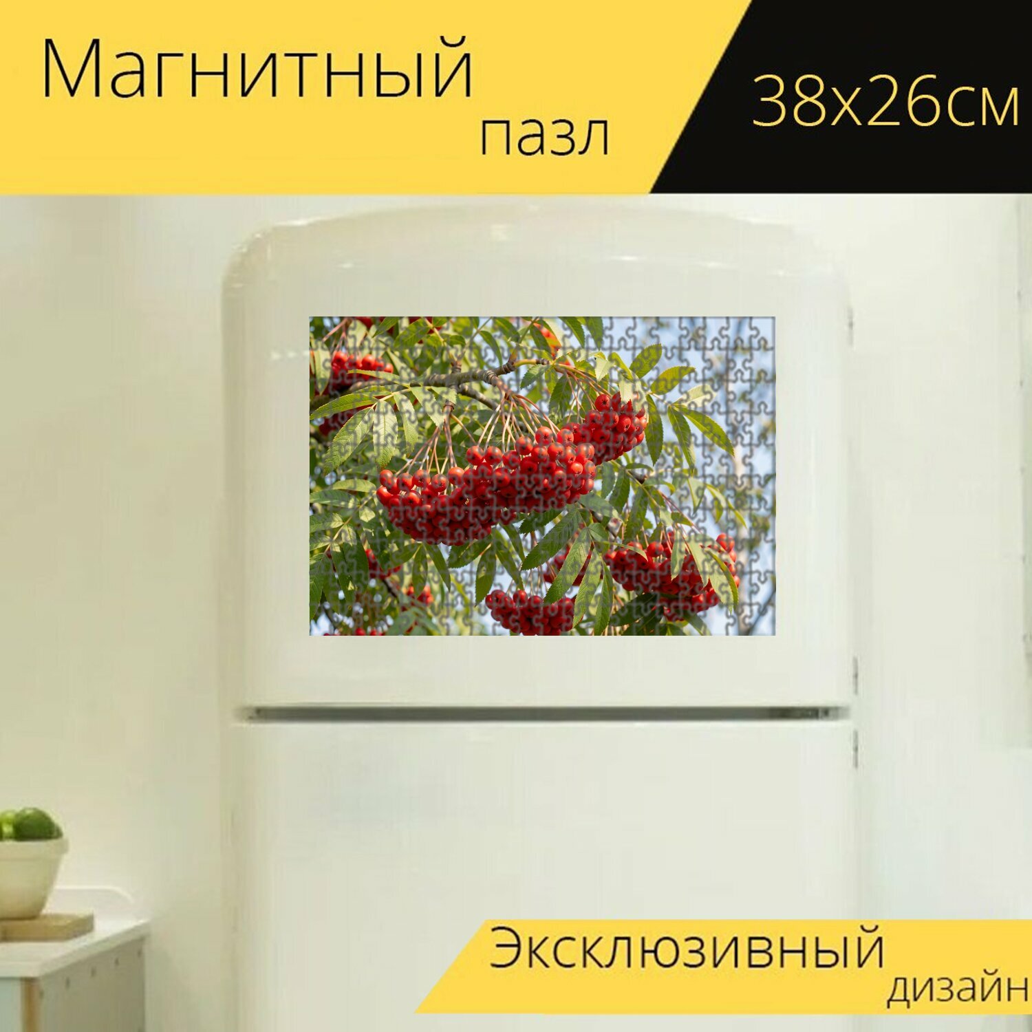 Магнитный пазл "Гроздья красной рябины на ветках. Яркие алые ягоды на древесных побегах среди зеленой листвы, солнечный свет, голубое небо, природный." для интерьера, 38х26 см.