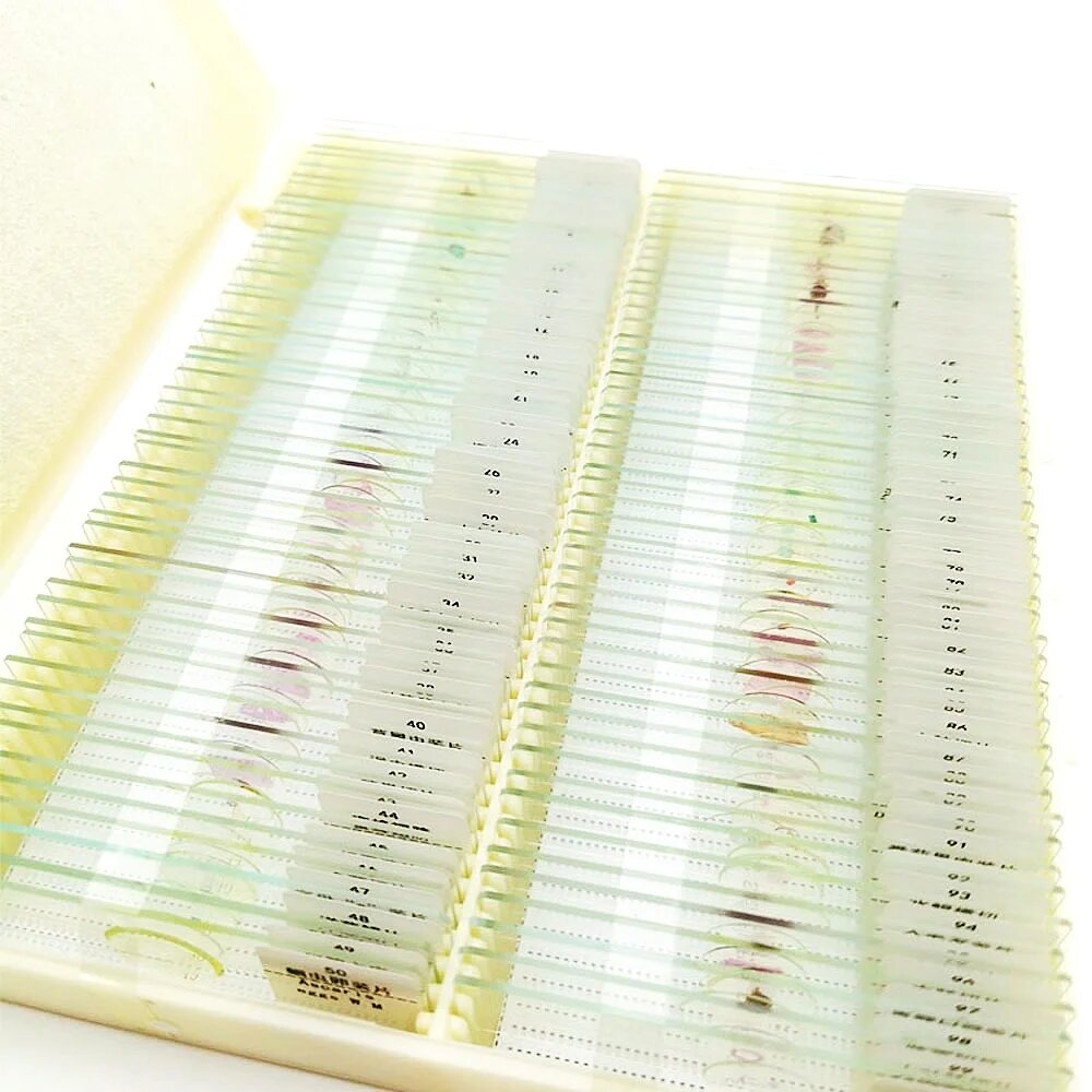 Готовые стеклянные предметные пластины для микроскопа 100 шт. Zoology Set