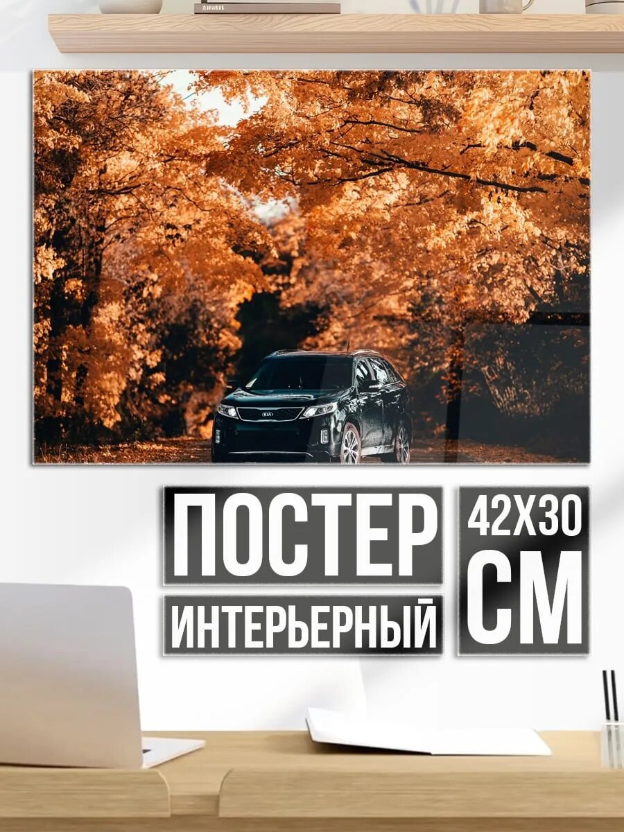 Плакат постер Автомобиль в осеннем лесу