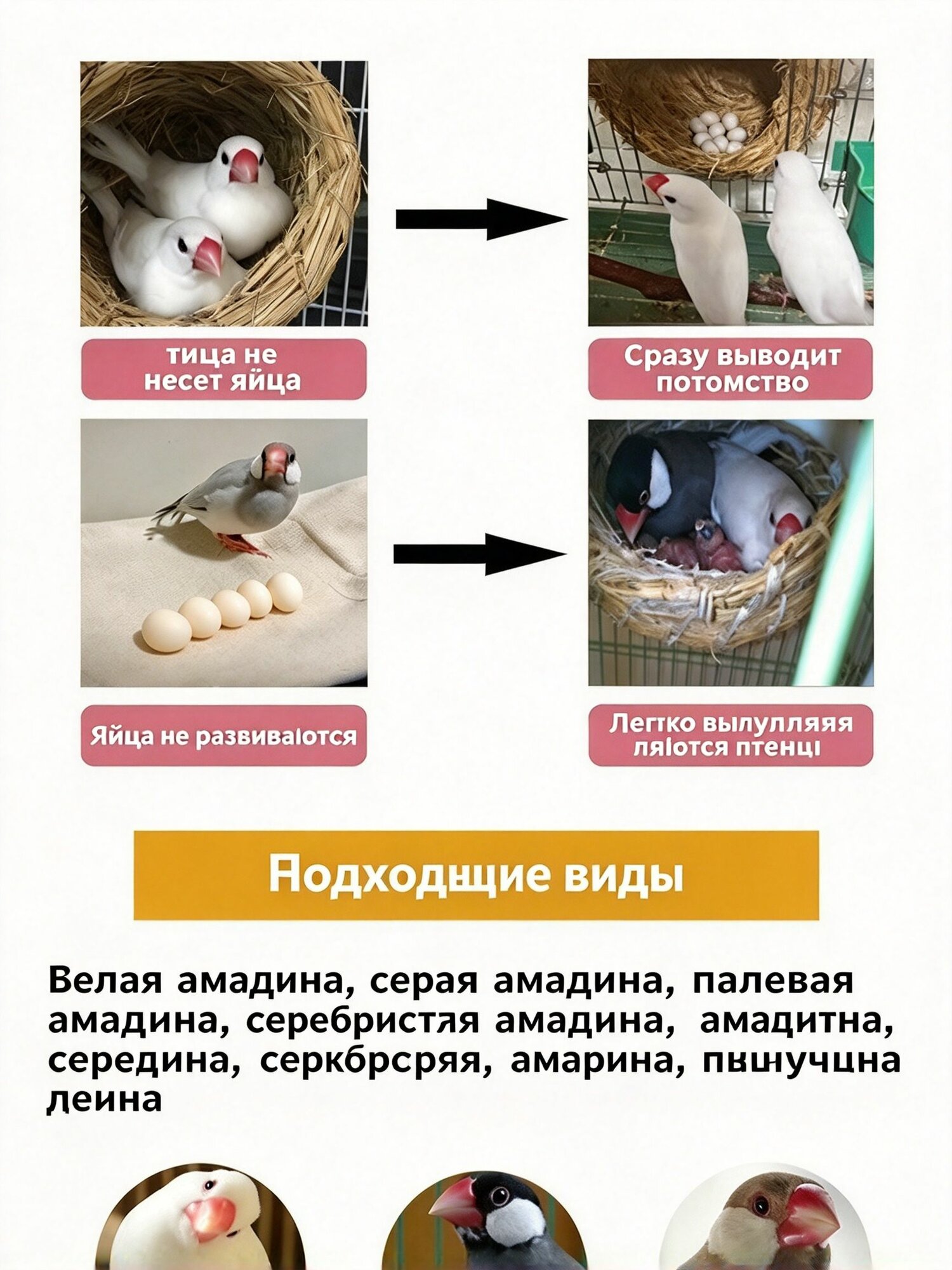 Добавка для корма голубей, перепелов и другой мелкой птицы 100 г.