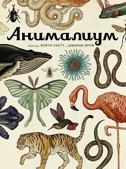 Брум Дженни: Анималиум