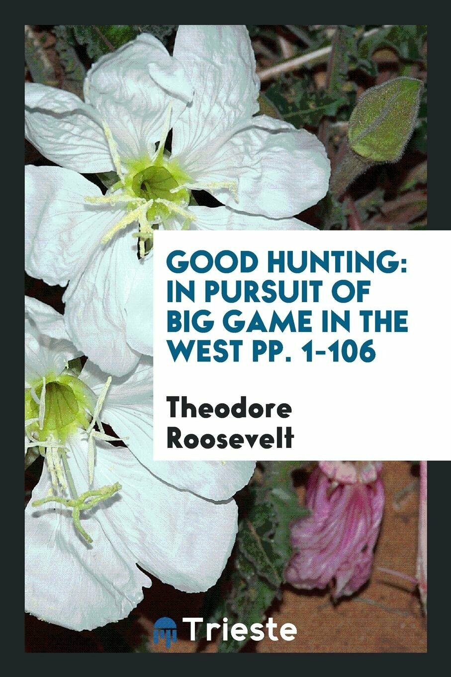 Good Hunting. In Pursuit of Big Game in the West