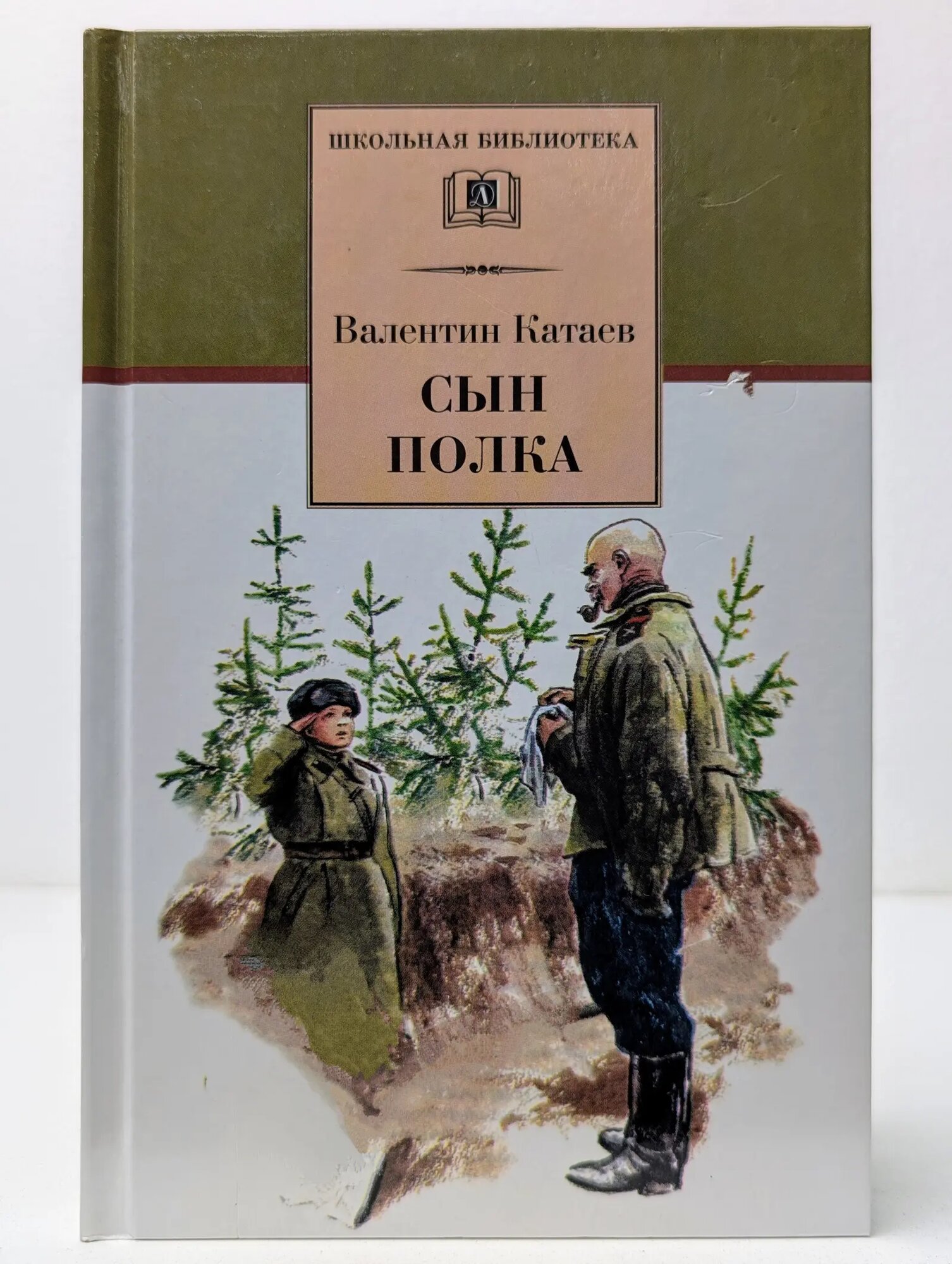 Школьная библиотека. Сын полка Катаев Валентин Петрович 2010