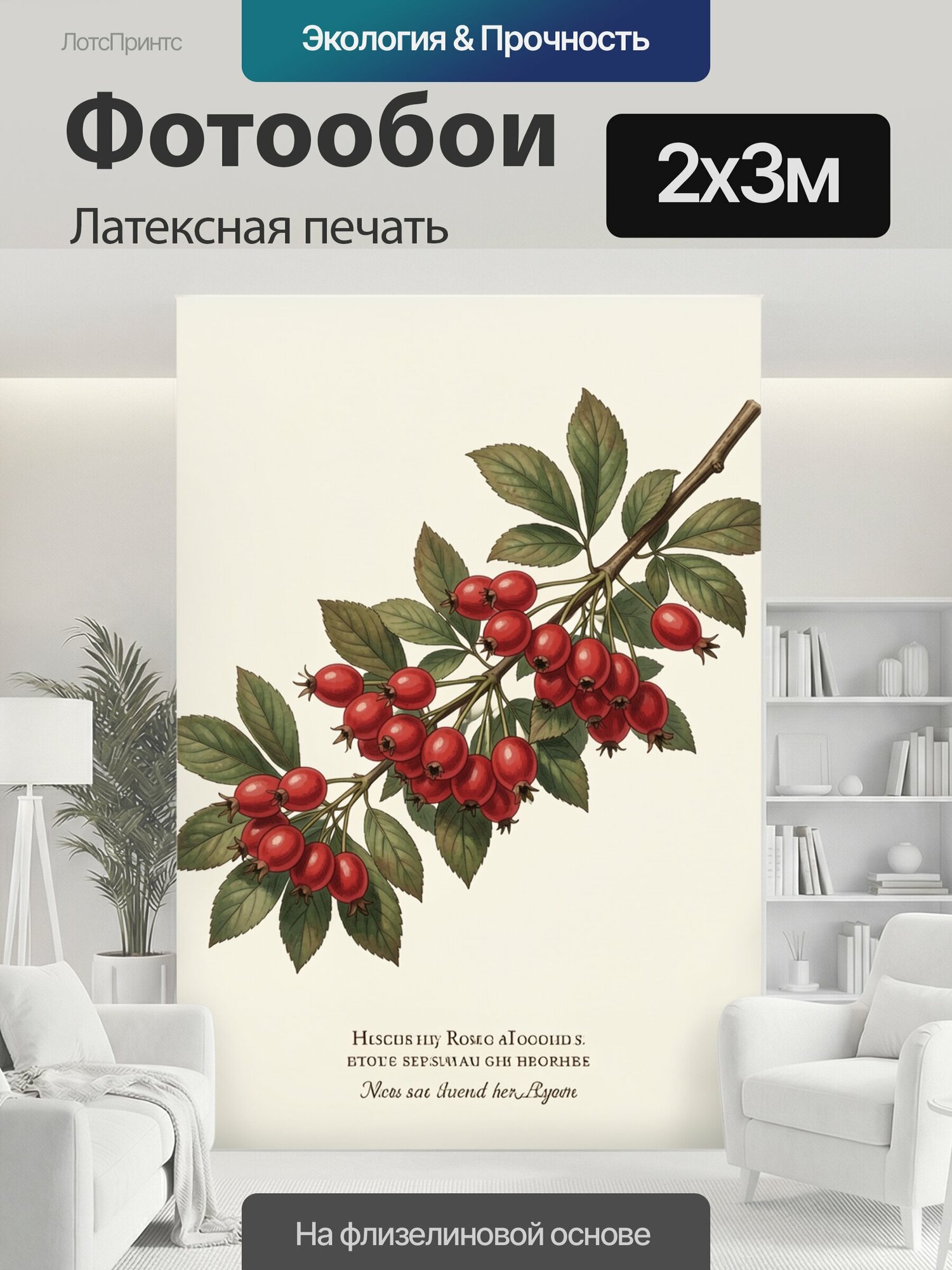 Фотообои моющиеся ударопрочные "Ветка с красными ягодами. Ботаническая иллюстрация: изящная ветвь с алыми плодами и зелёной листвой на светлом." 200x300 см. латексная печать