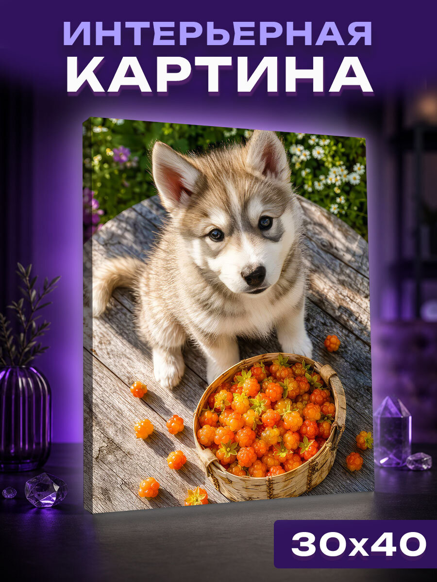 Интерьерная картина Щенок лайки на веранде у короба морошки