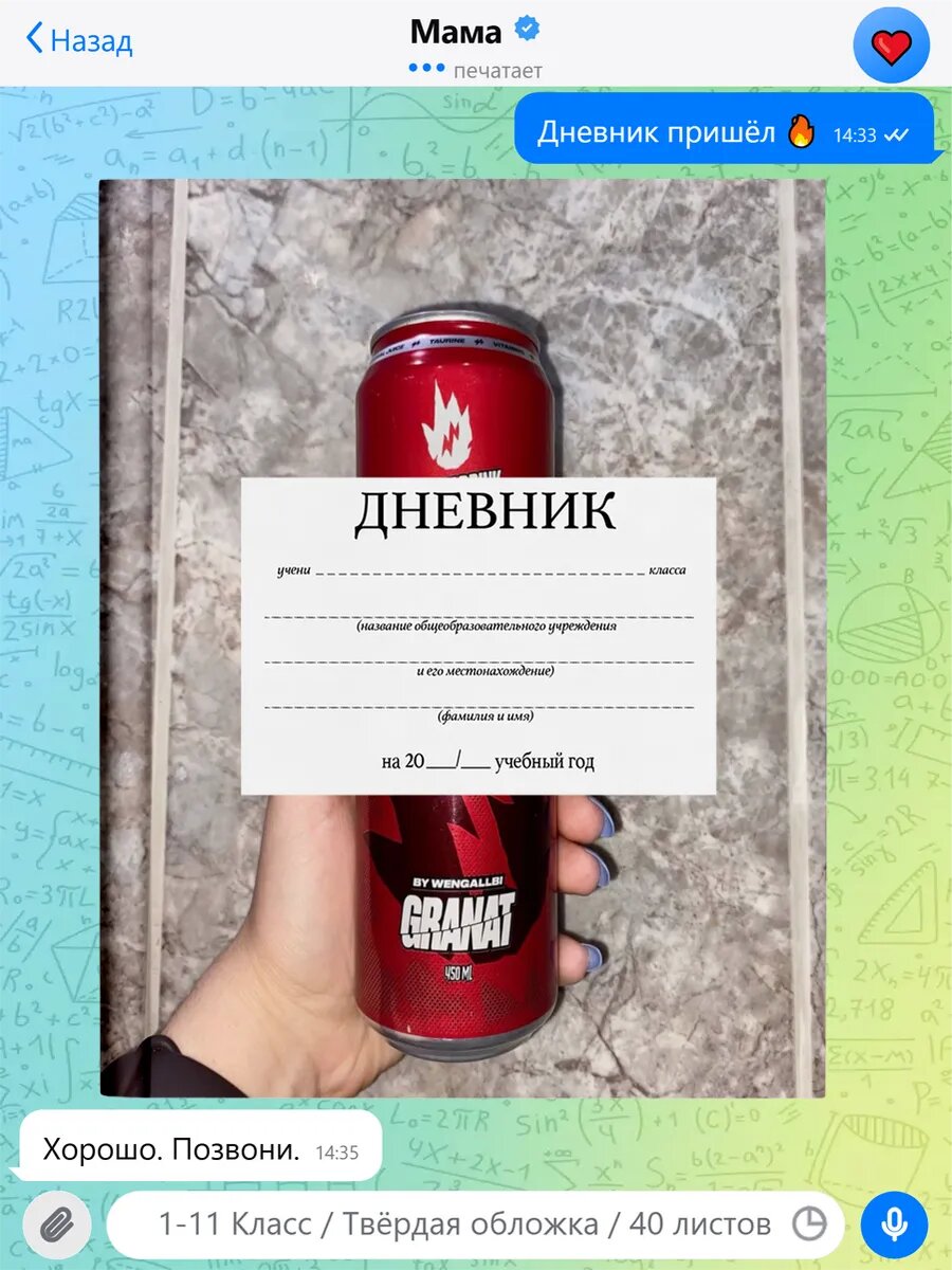 Школьный дневник с принтом Роблокс