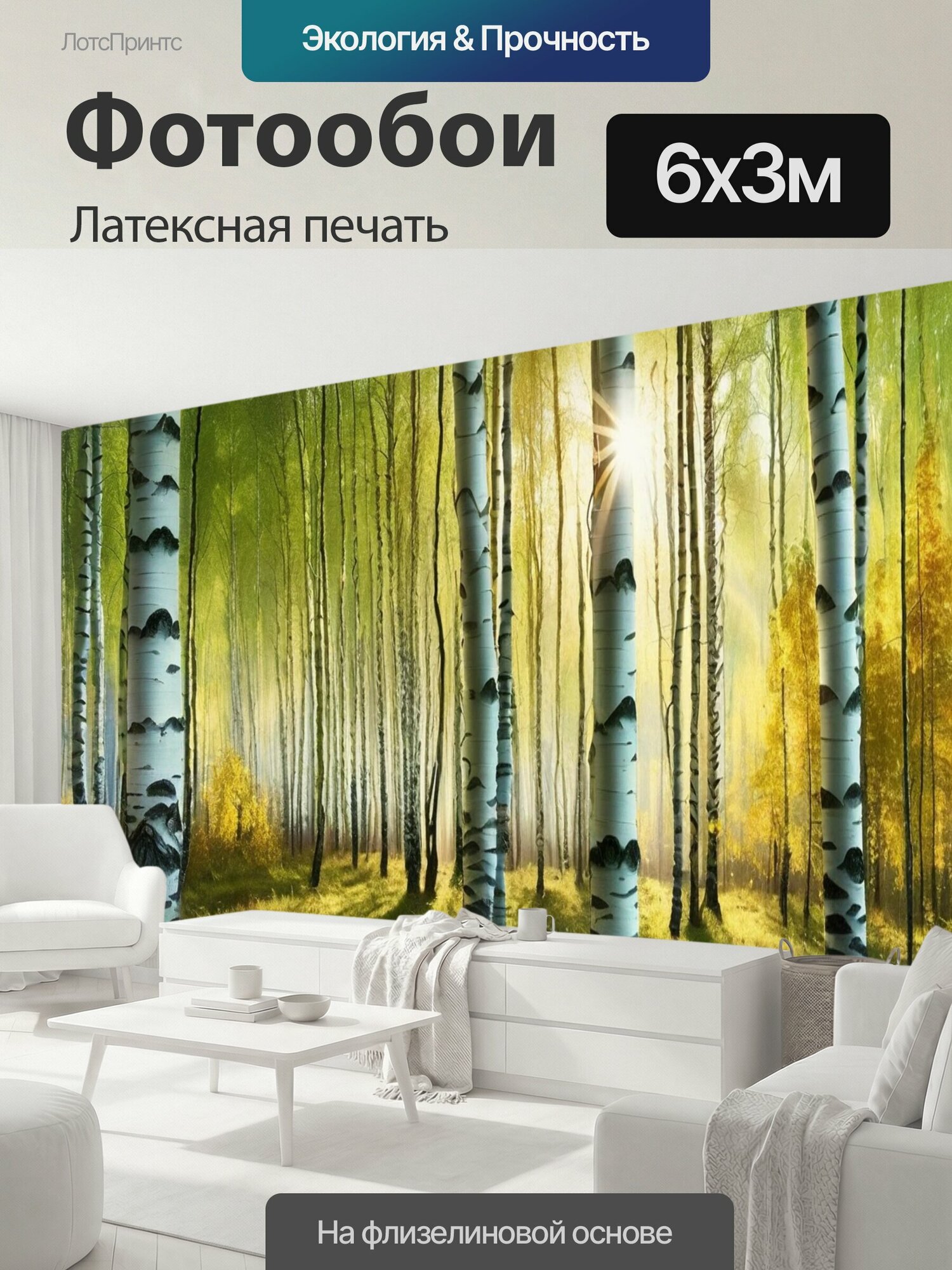 Фотообои моющиеся ударопрочные "Береза, солнце, чаща лес природа" 600x300 см. латексная печать