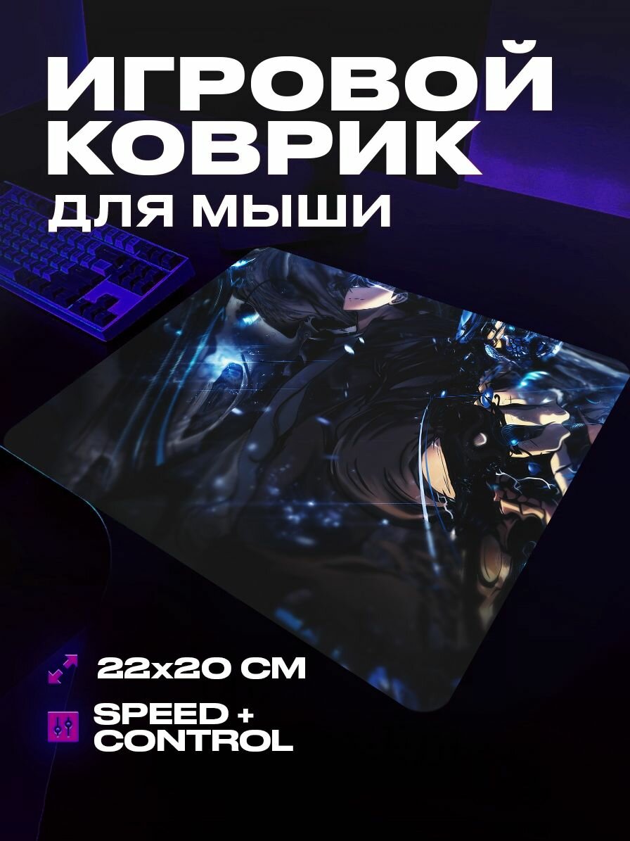 Коврик для мыши игровой Solo leveling 22x20 см ProSleeves
