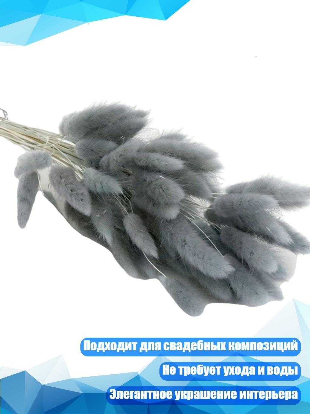 55pcs Natural Dry Pampasgrass 17,7 -дюймовый сушеные кролики цветок хвоста для домашних свадебных композиций, - Сплошной цвет 56
