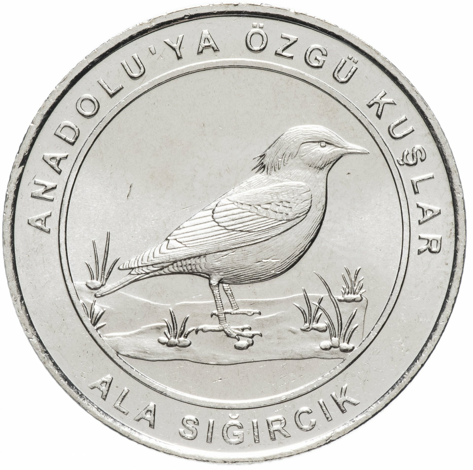 Турция 1 куруш, 2018 "Розовый скворец" Серия "Птицы Анатолии", Медь, в сохранности UNC