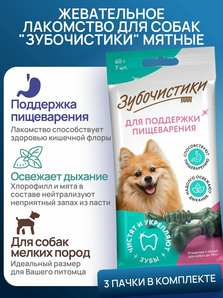 Зубочистики 60 мятное лакомство с хлорофиллом для собак мелких пород до 10 кг (комплект из 3 пачек)