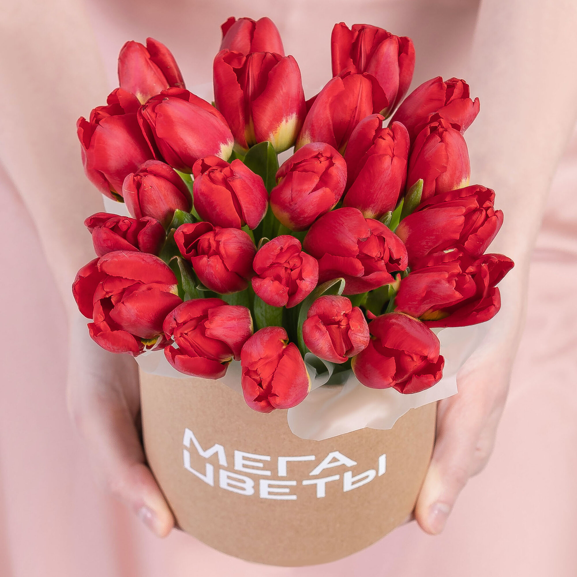 Букет Мегацвет24 "Красные тюльпаны", 25 шт, сборка в коробке