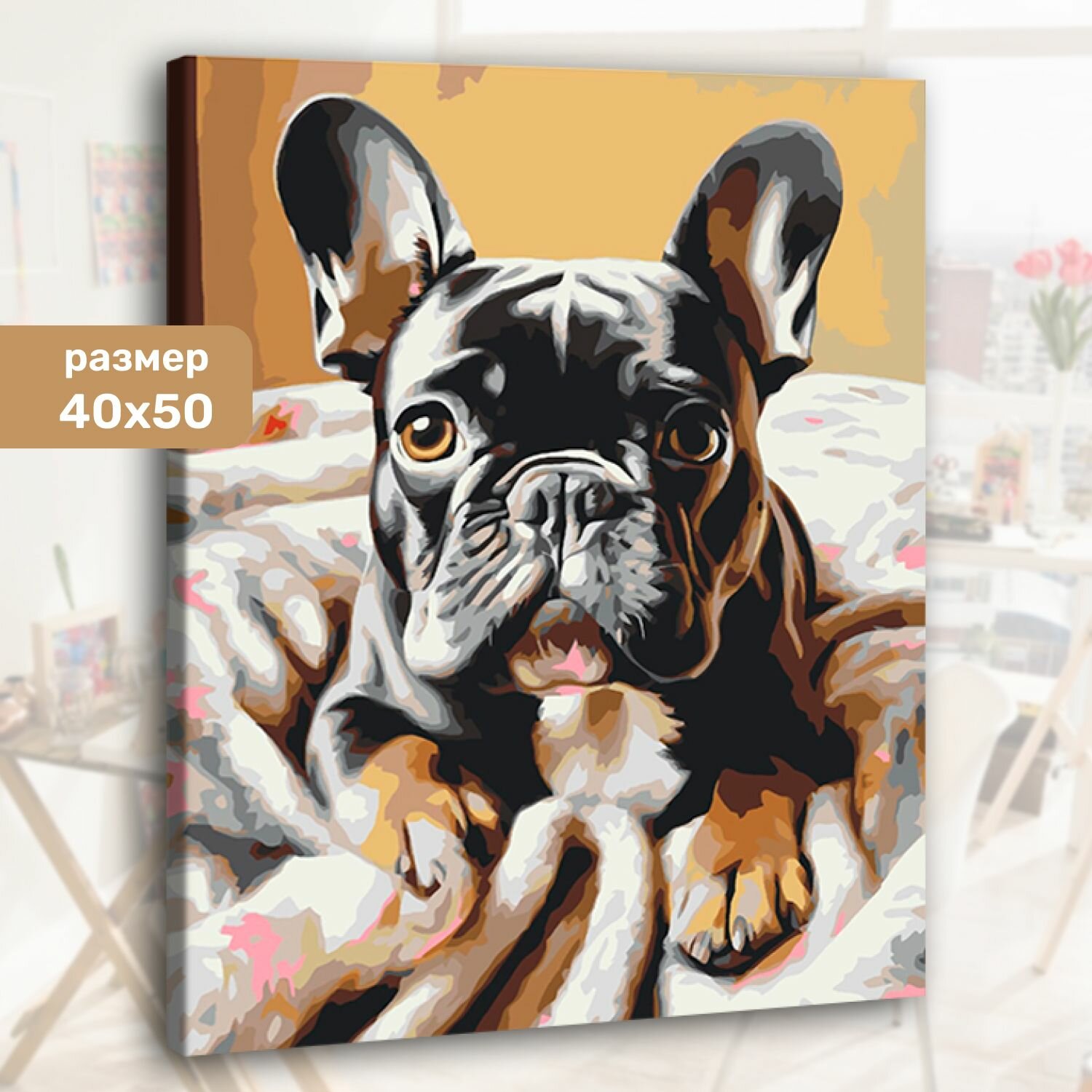 Картина по номерам на холсте с подрамником 40х50, французский бульдог рыжий с черным