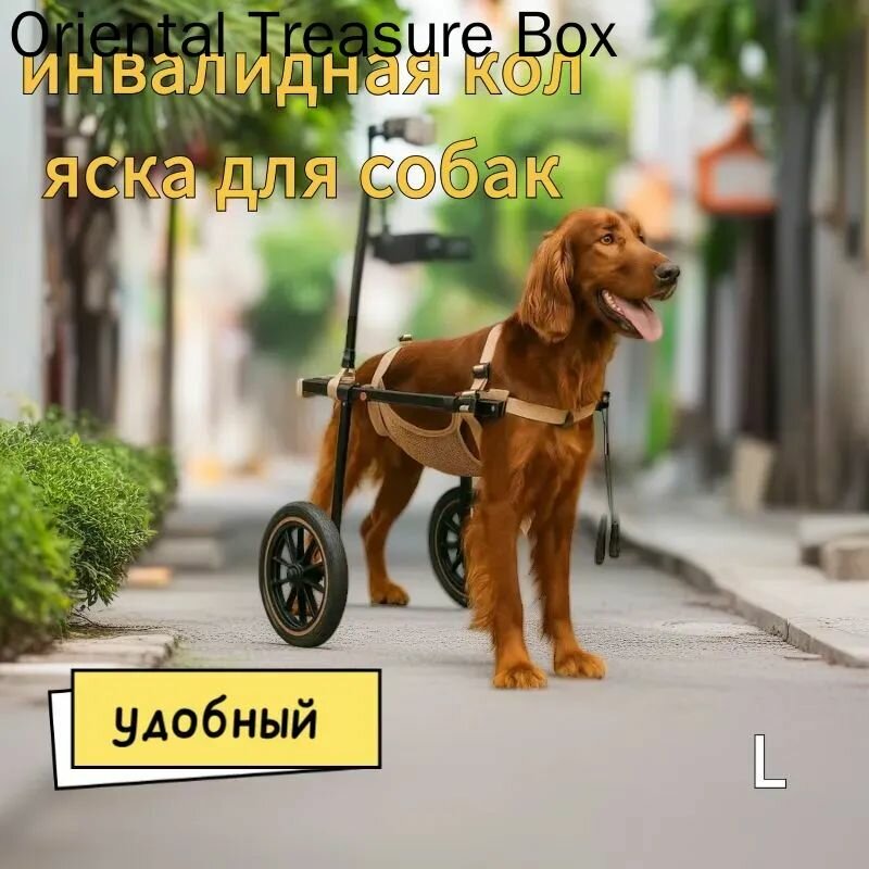 Инвалидная коляска для собак — фото 1