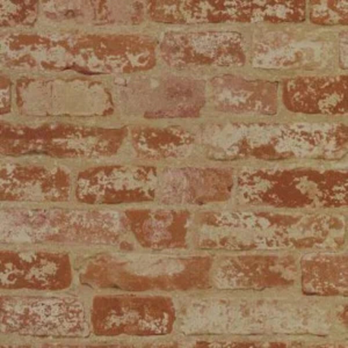 Обои York Collection Snapshots BZ9206 A; 0,52х10,05 м. , Бумага Sure Strip , красный, красный, Терракотовый