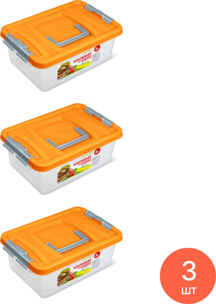 Контейнер для хранения продуктов Martika / Мартика полипропилен с крышкой и ручкой, прозрачный 34.7×23.2×12.7см объем 6л / емкость герметичная (комплект из 3 шт)