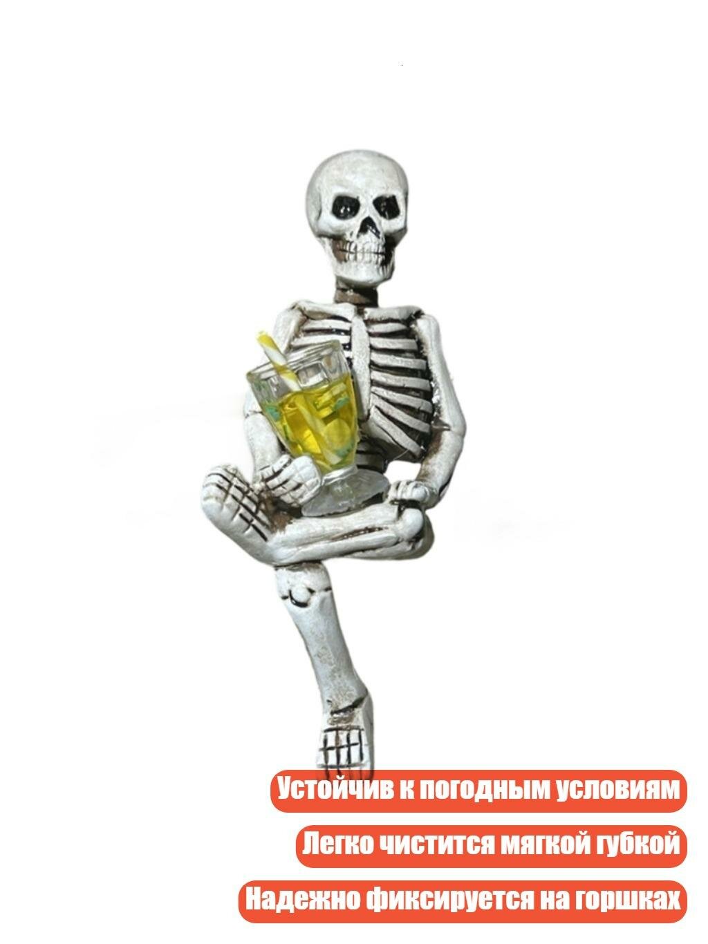 Горшок-череп для сада, 8
