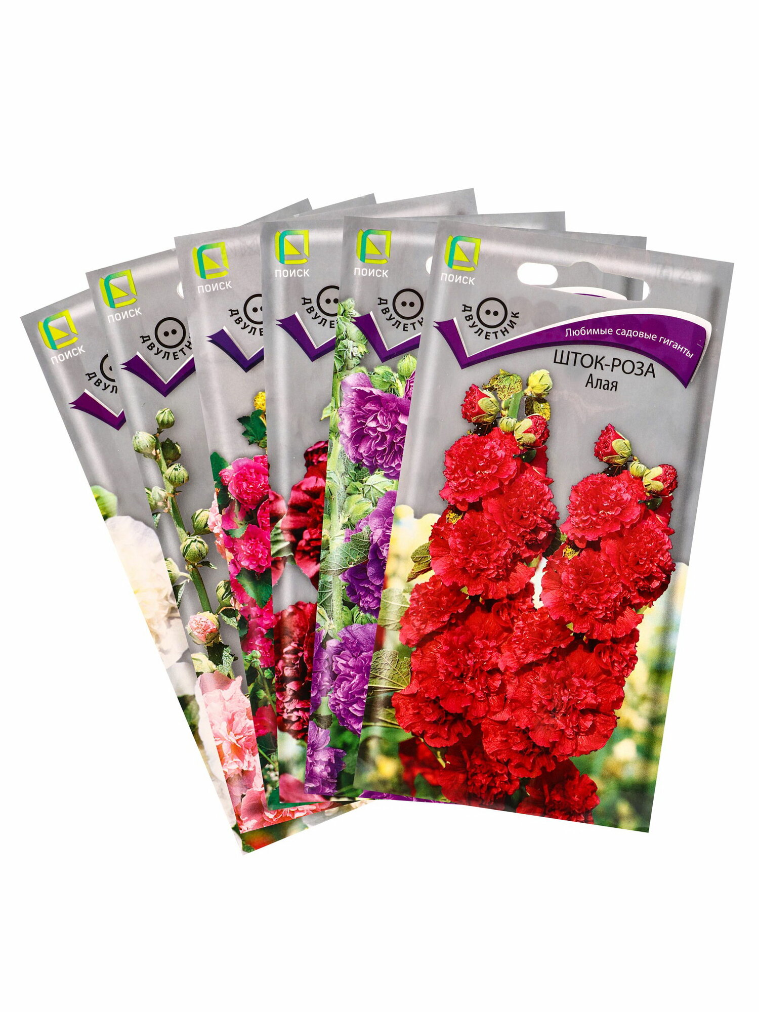 Набор семян Мальва, шток-роза махровая садовая, цветение период: август