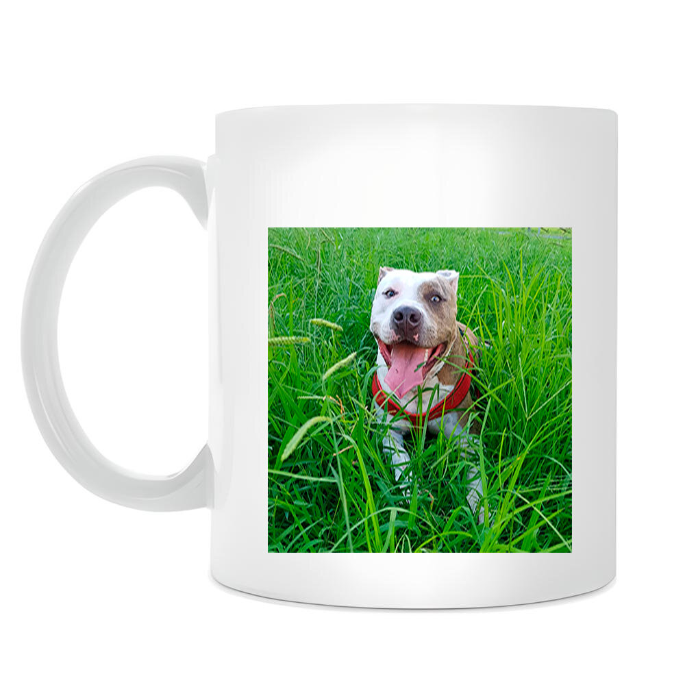 Кружка Американский стаффордширский терьер