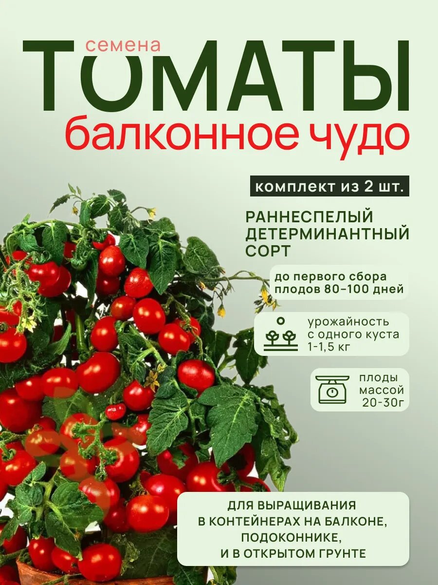 Семена томата Агрофирма аэлита "Балконное чудо", для балкона, террасы и открытого грунта, 2 пачки