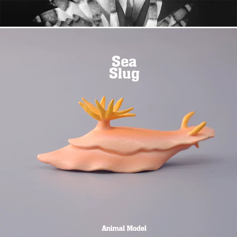 Реалистичная модель морского слизня для аквариума, 3D пластиковая морская игрушка для декора