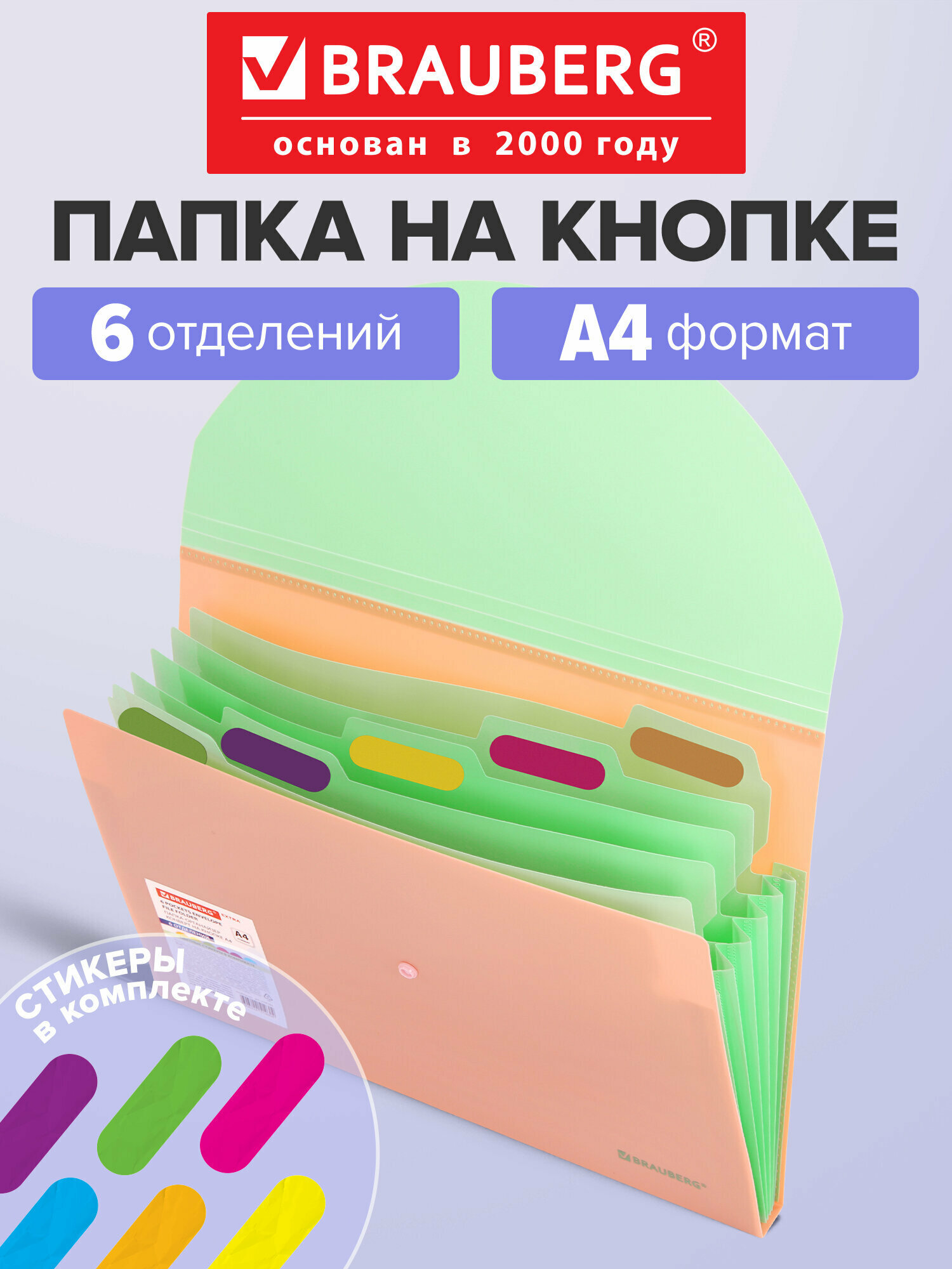 Папка для документов А4 канцелярская на кнопке, органайзер конверт для бумаг 6 отделений, Brauberg Extra, 274102