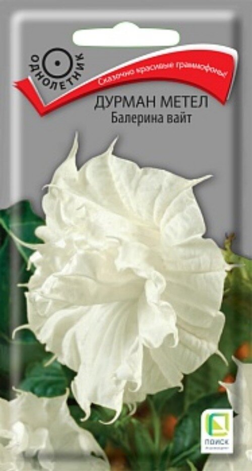 Семена дурмана поиск Балерина вайт метел, многолетний, 3 шт