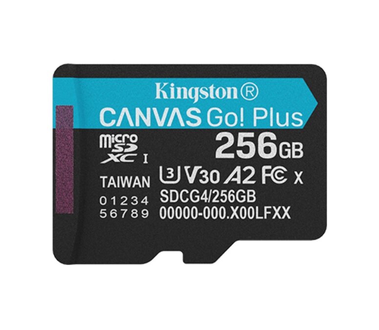 Карта памяти Kingston Go! Plus microSDXC 256 ГБ / SDCG4/256GBSP / A2 V30 U3 / 200 МБ/с / для 4K видео