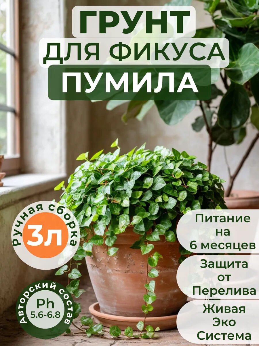 Готовый авторский грунт для фикуса Пумила премиум 3 литра