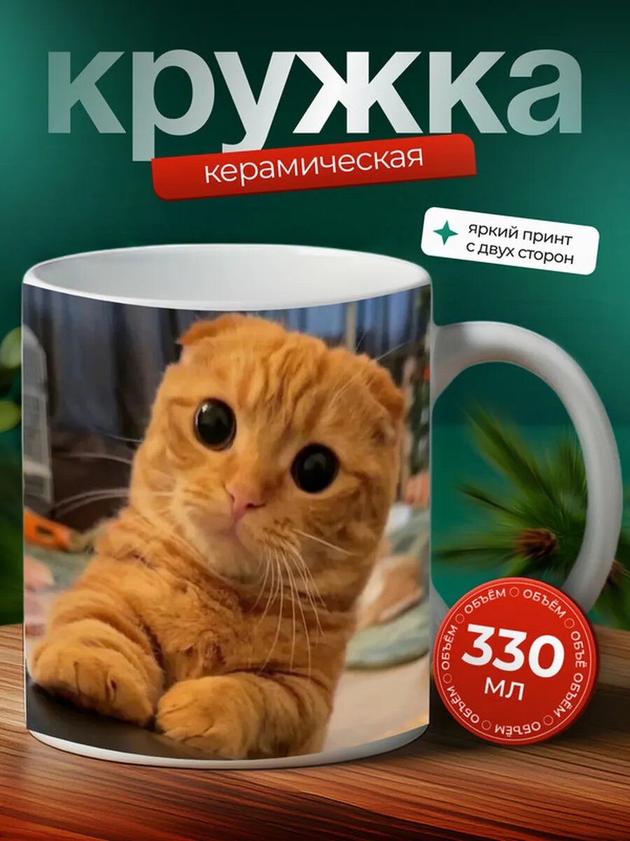 Кружка Карибский коралловый кот 4,