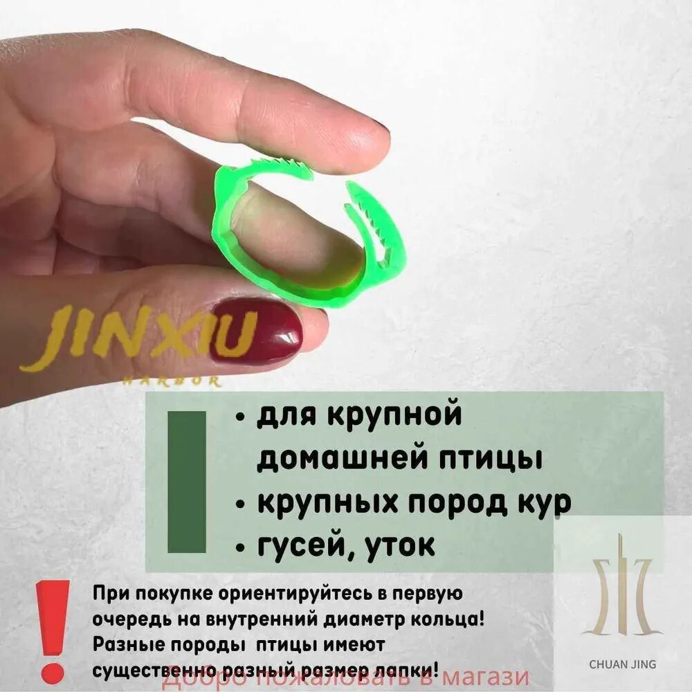 Кольцо для птицы — фото 1