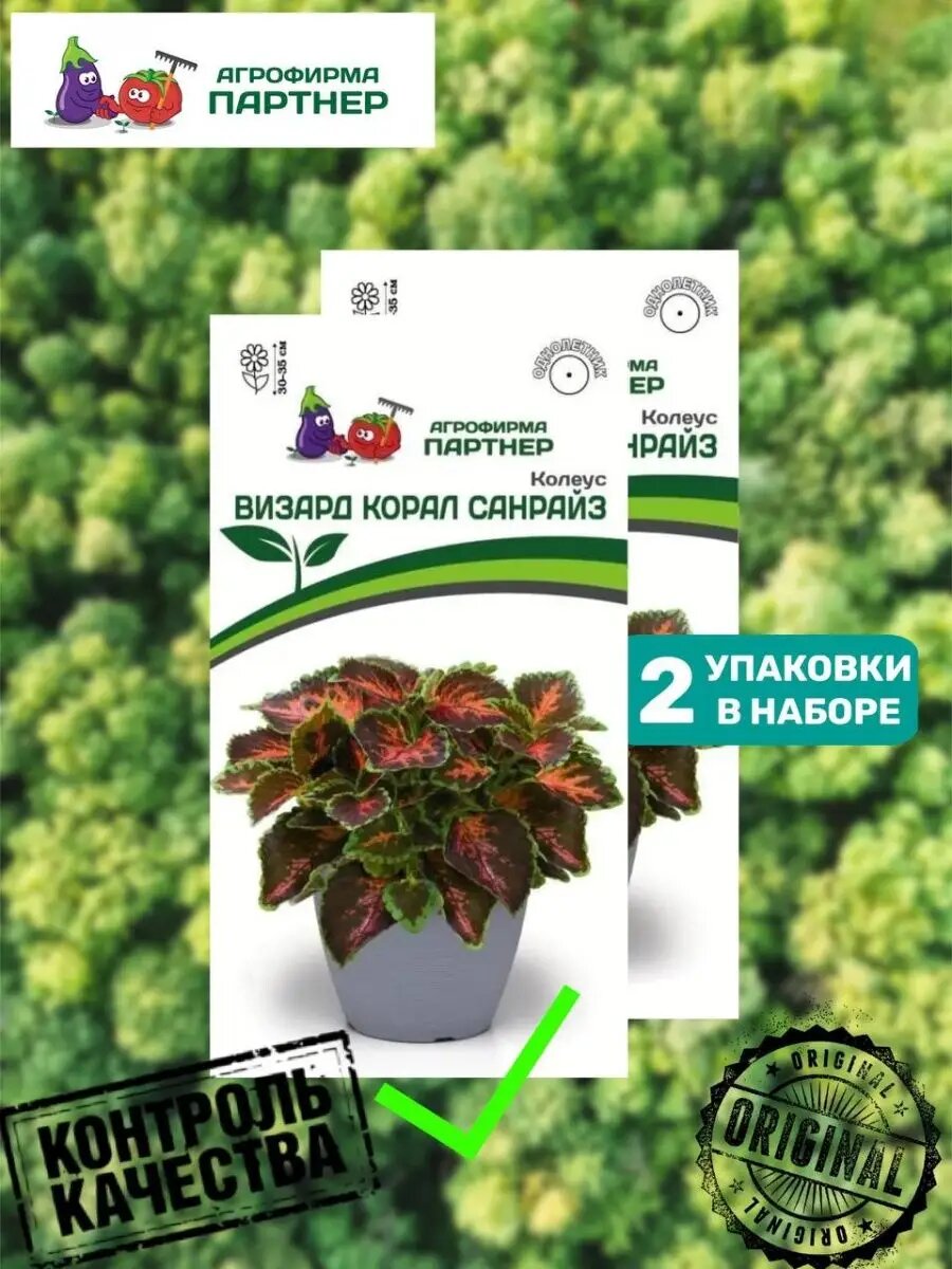Колеус визард корал санрайз (10шт) 2-ной пак, 2 уп.