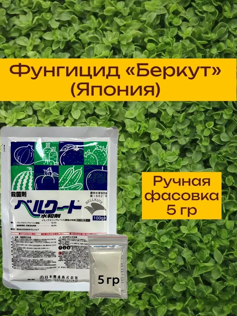 Фунгицид Беркут Япония фасовка 5 гр.
