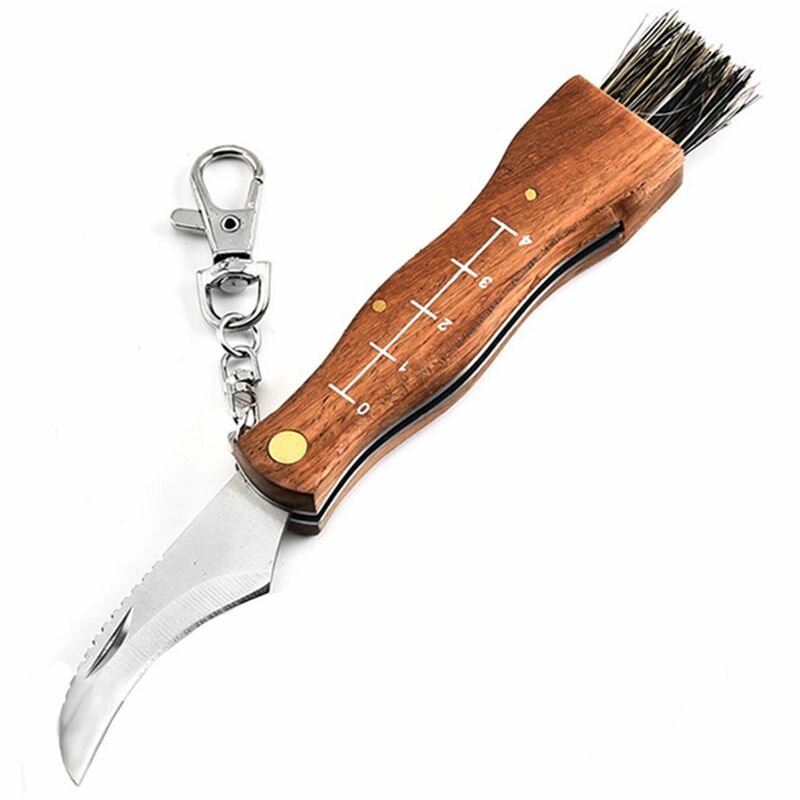 Нож Грибника С Щеточкой Складной