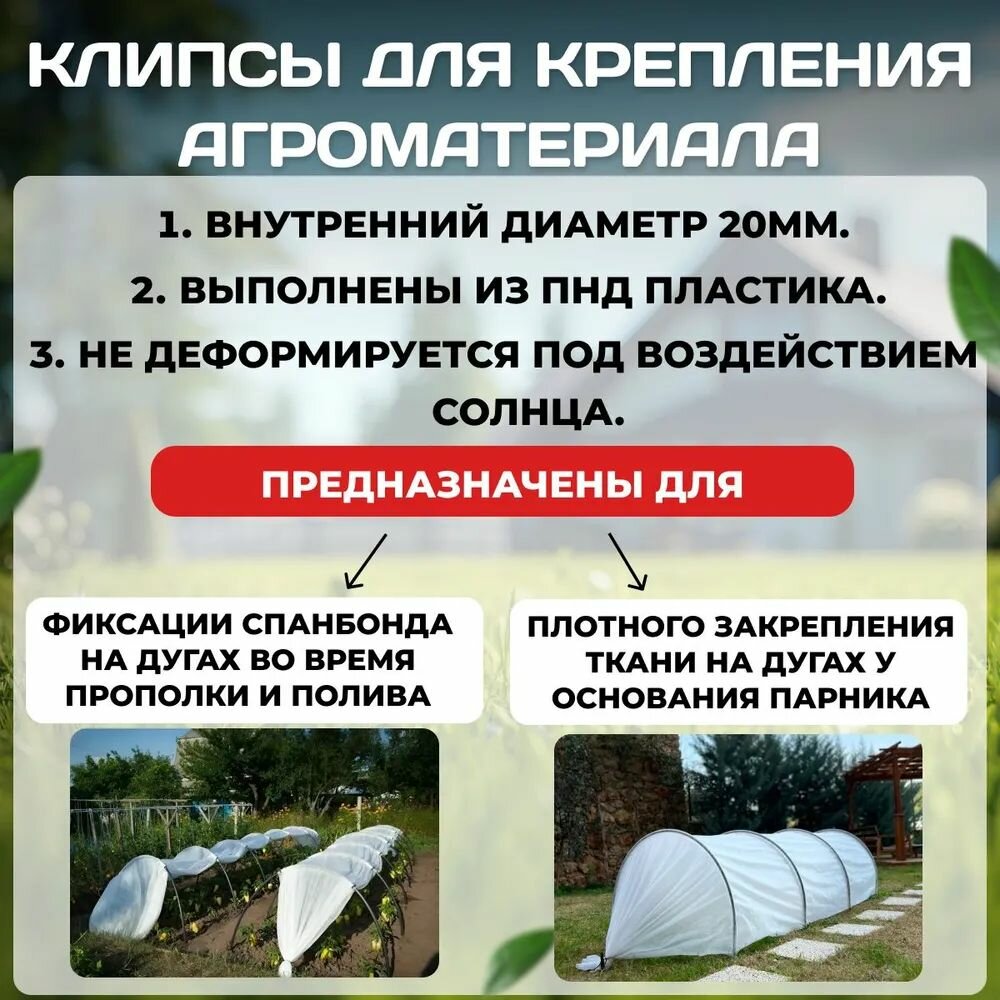 Парник, теплица