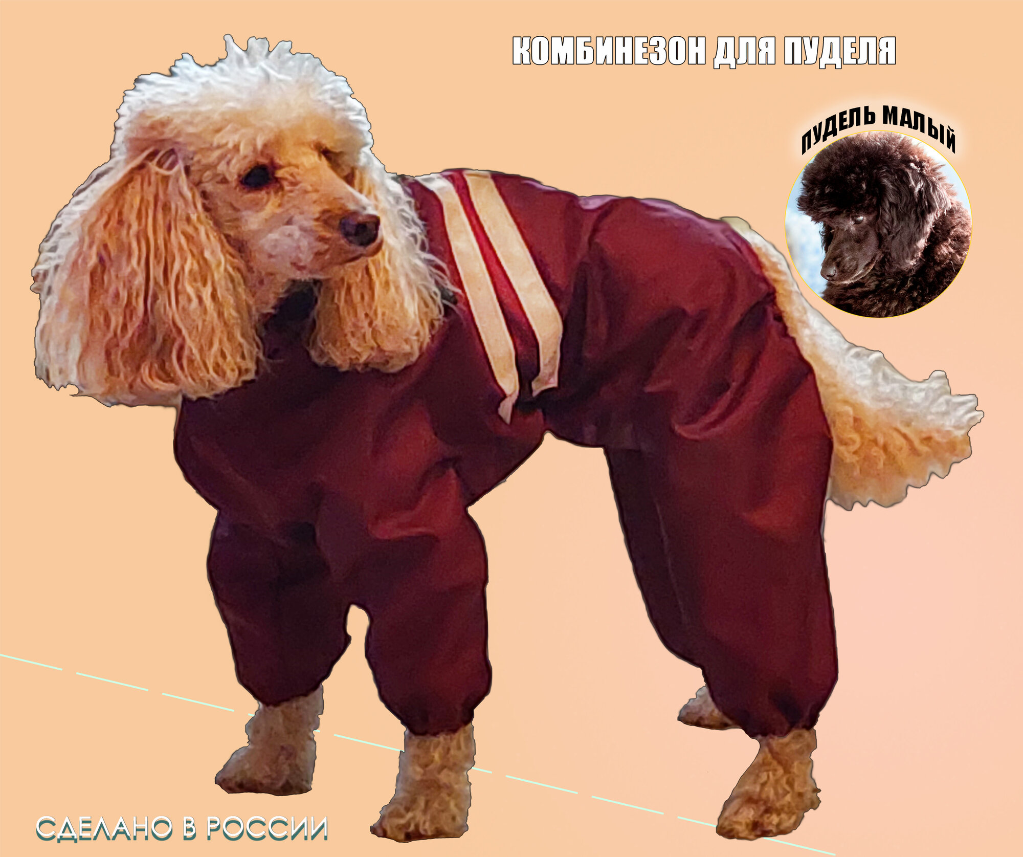 Комбинезон-дождевик для пуделя малого суки, повышенной прочности, со светоотражающими полосами, цвет бордо