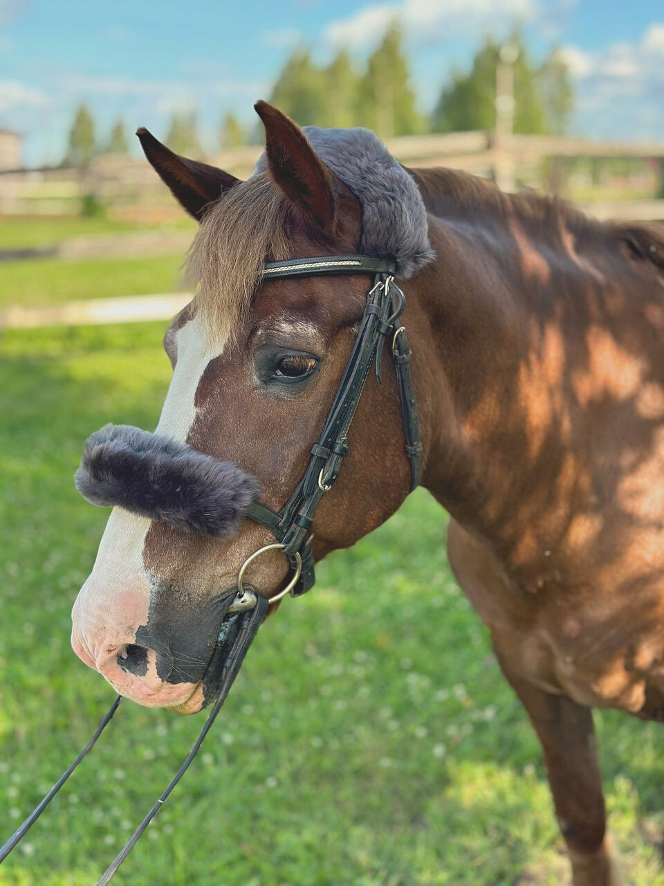 Меховушки на недоуздок Shkura-Dekor набор 2 шт (24 и 28 см) чулком графит