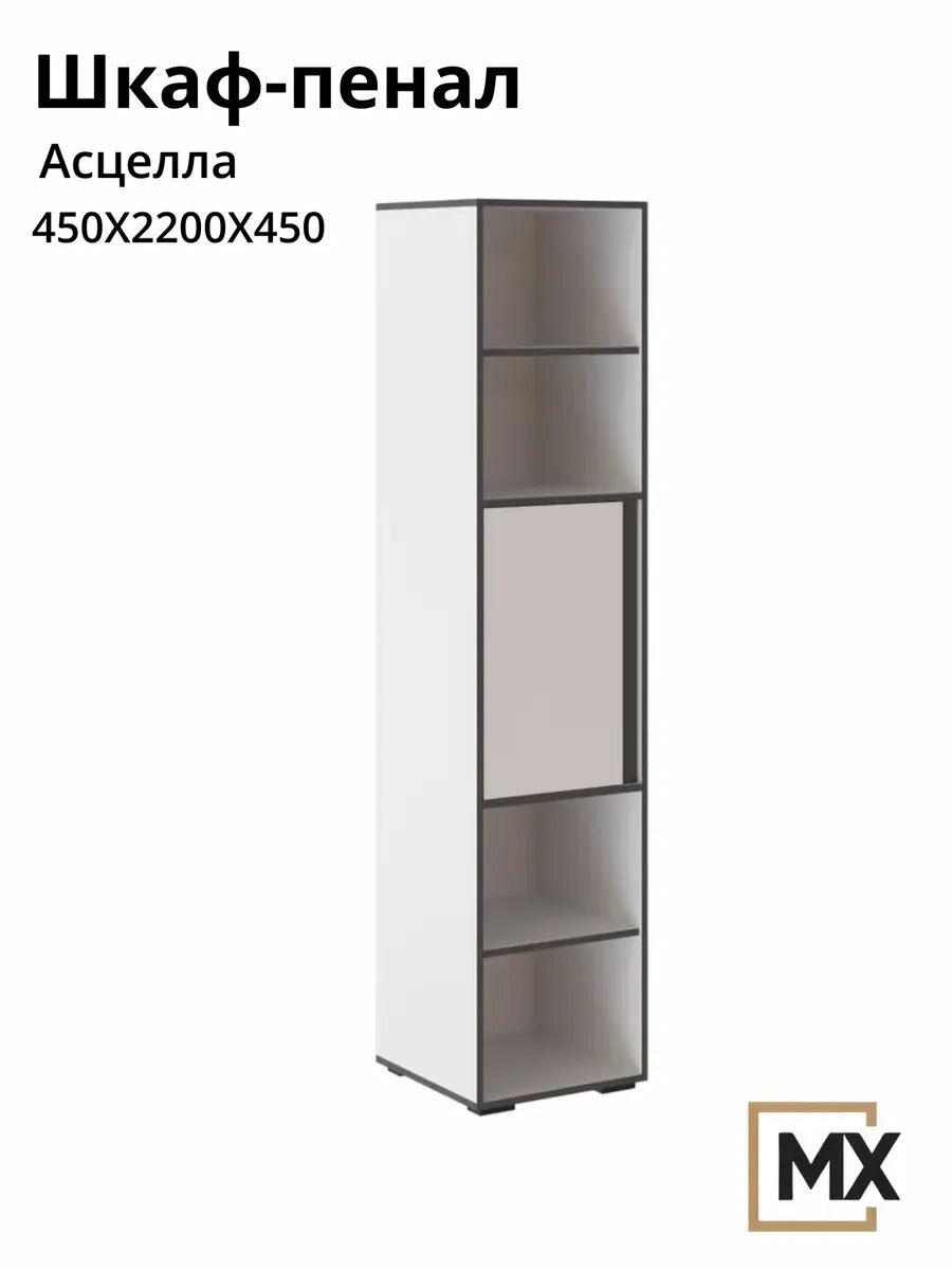 Пенал Асцелла открытый белый/графит серый, ЛДСП, с открытыми и закрытыми полками, 2000х450х450, тэкс