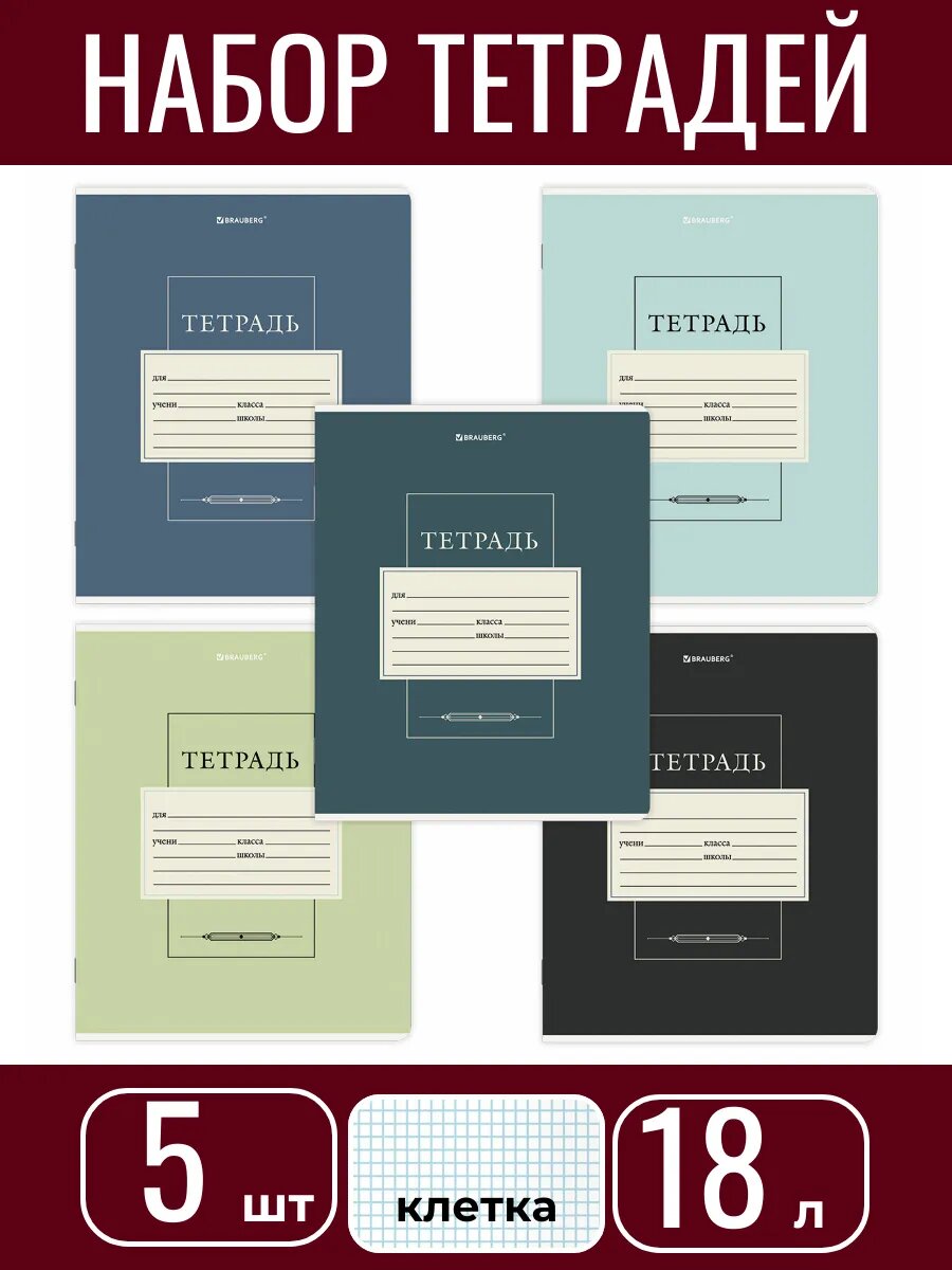 Тетрадь школьная BRAUBERG, клетка, формат А5, 18 листов, 5 штук