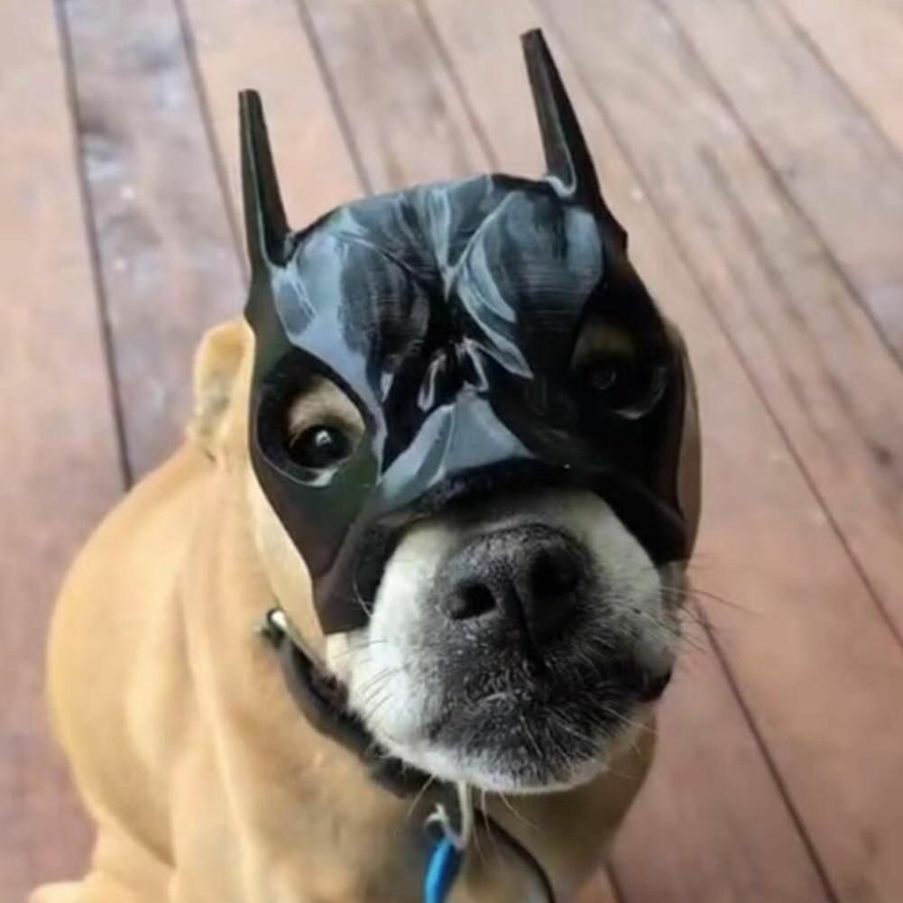 Маска Бэтмена для кота BatDog