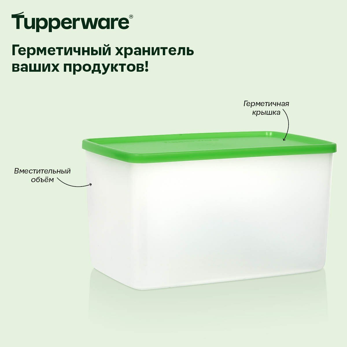 Контейнер Хранитель (2,8 л) Герметичный хранитель ваших продуктов! Tupperware