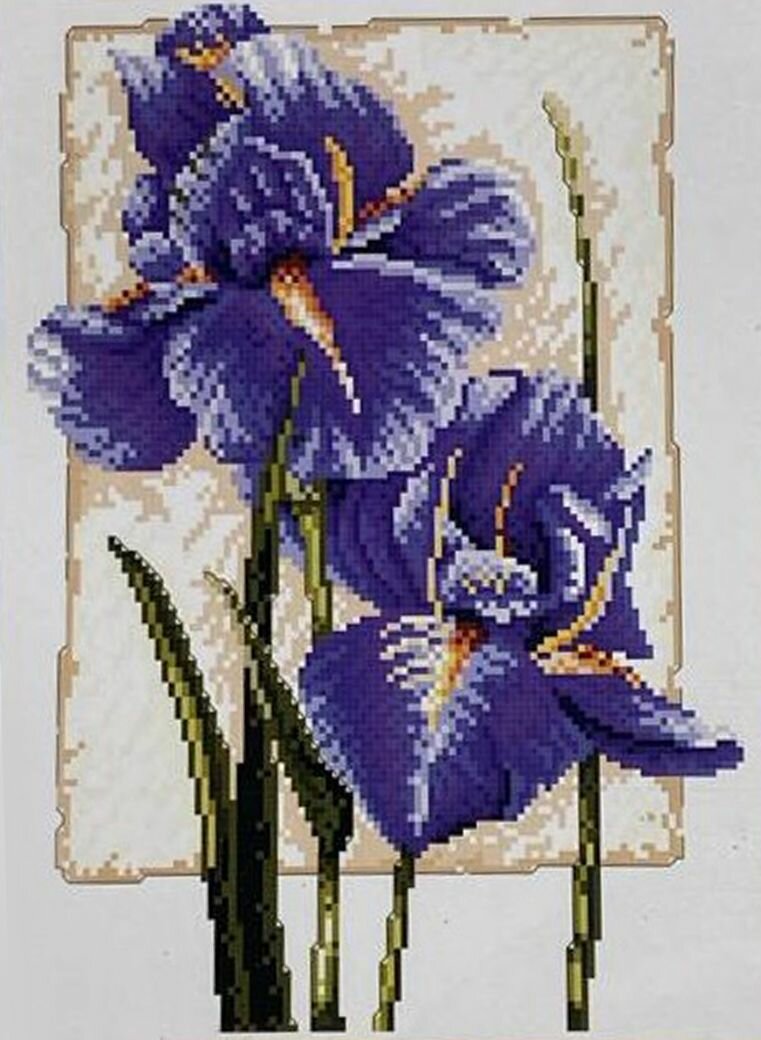 Набор для вышивания "Ирисы"/ Вышивание крестиком / Набор для творчества/ Размер 30х40 см