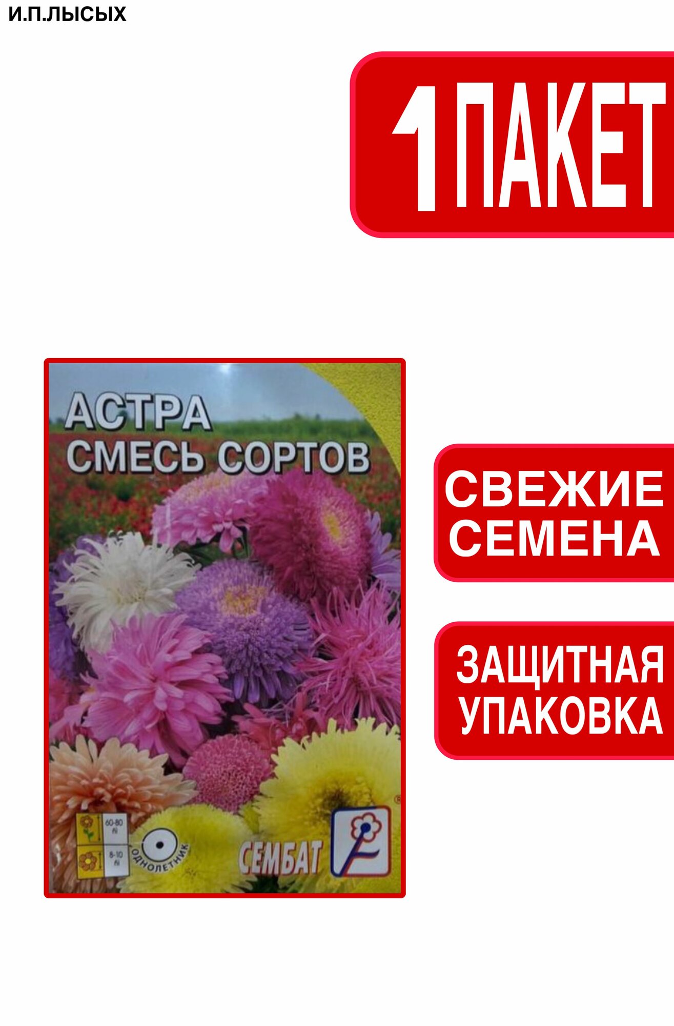 Семена Астра смесь сортов