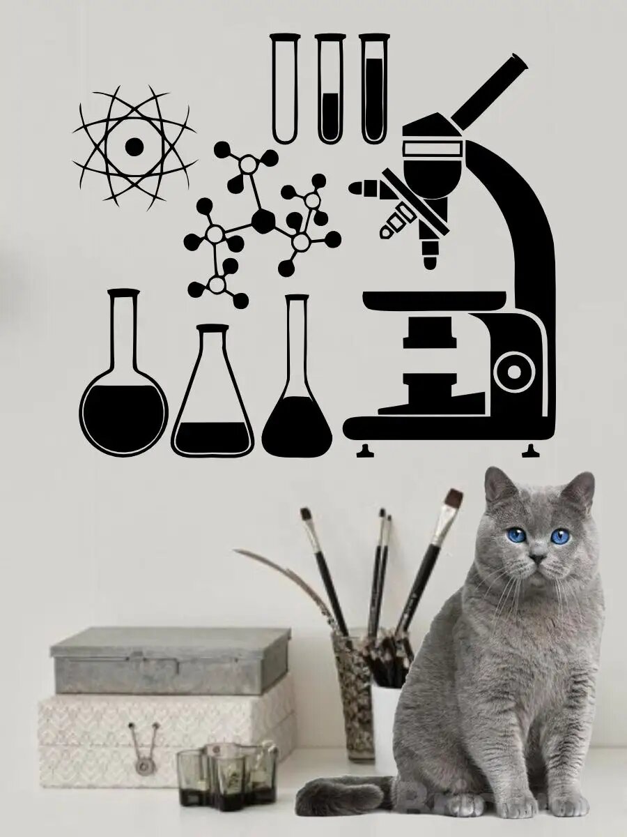 Наклейка на стену для декора интерьерная Химический опыт