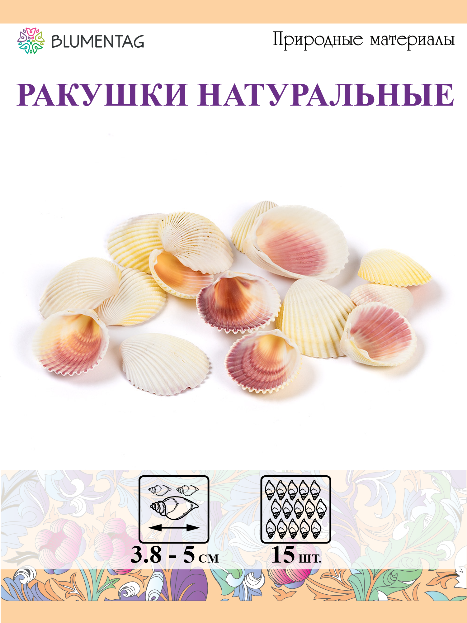 Ракушки морские 15 шт. "Blumentag" DRF-030 Cardium Flavus