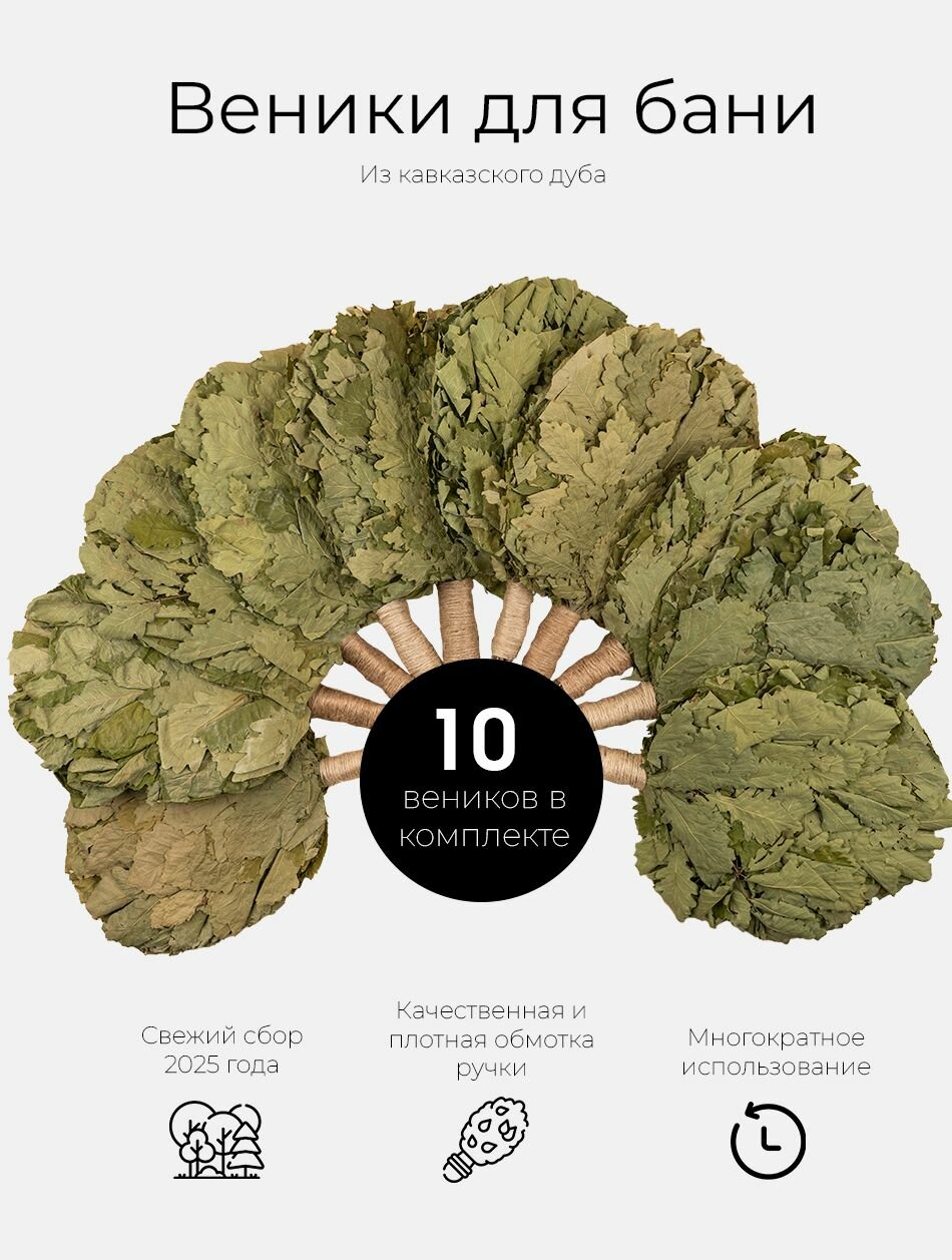 Набор из десяти веников для бани Woodson Премиум из дуба кавказского с прочной обмоткой, свежий сбор