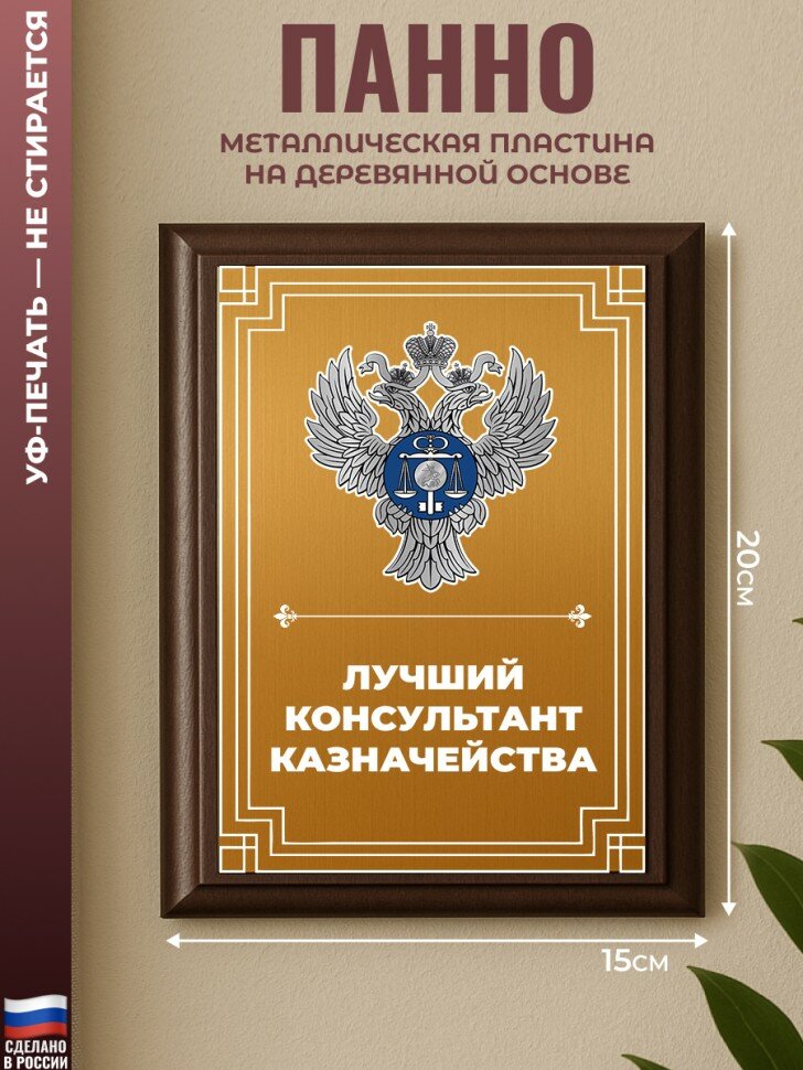 Настенный диплом "Лучший консультант казначейства" Казначею